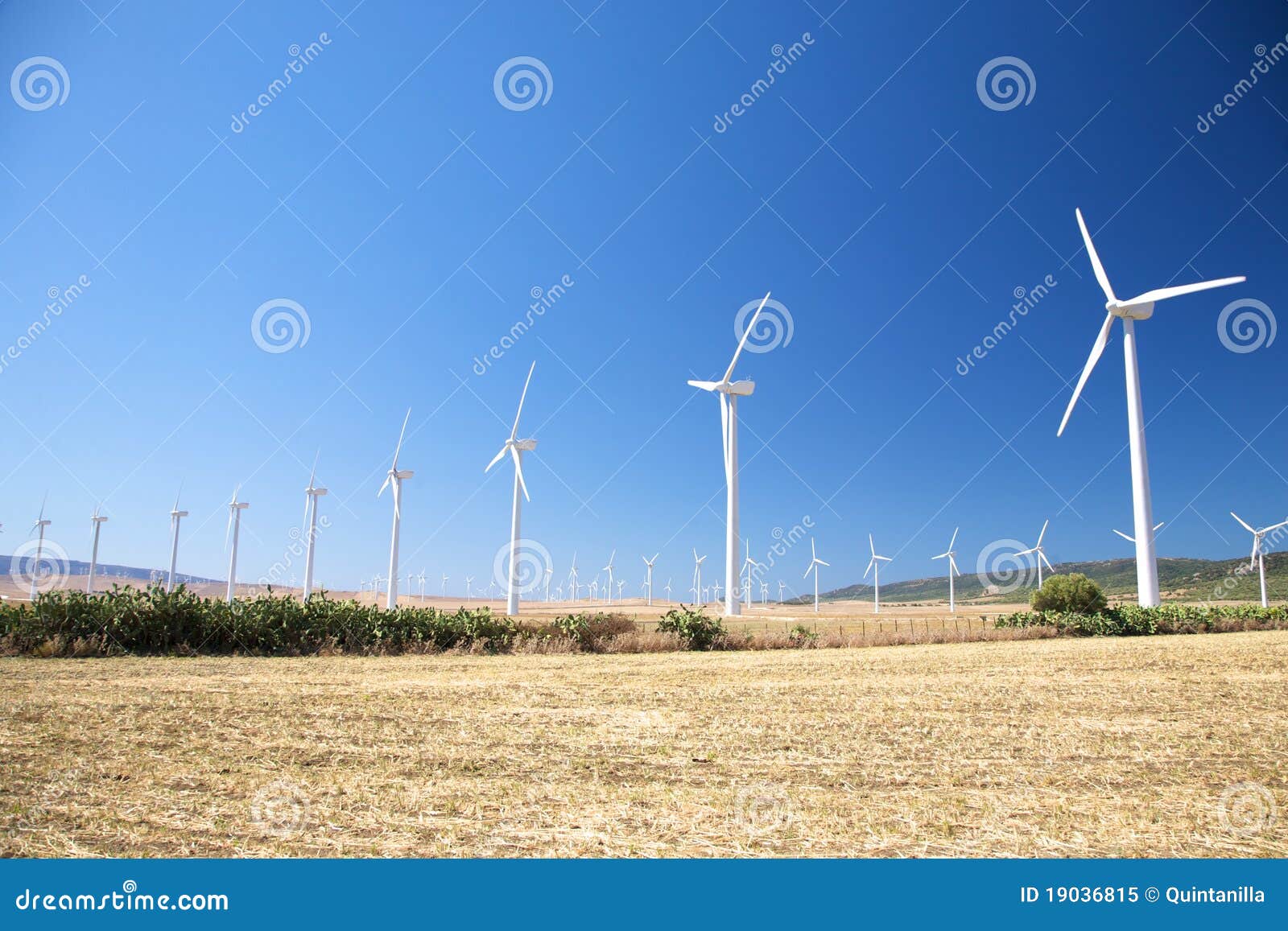 Big Group of Wind Power Mills Stock Image - Image of pole, blue: 19036815