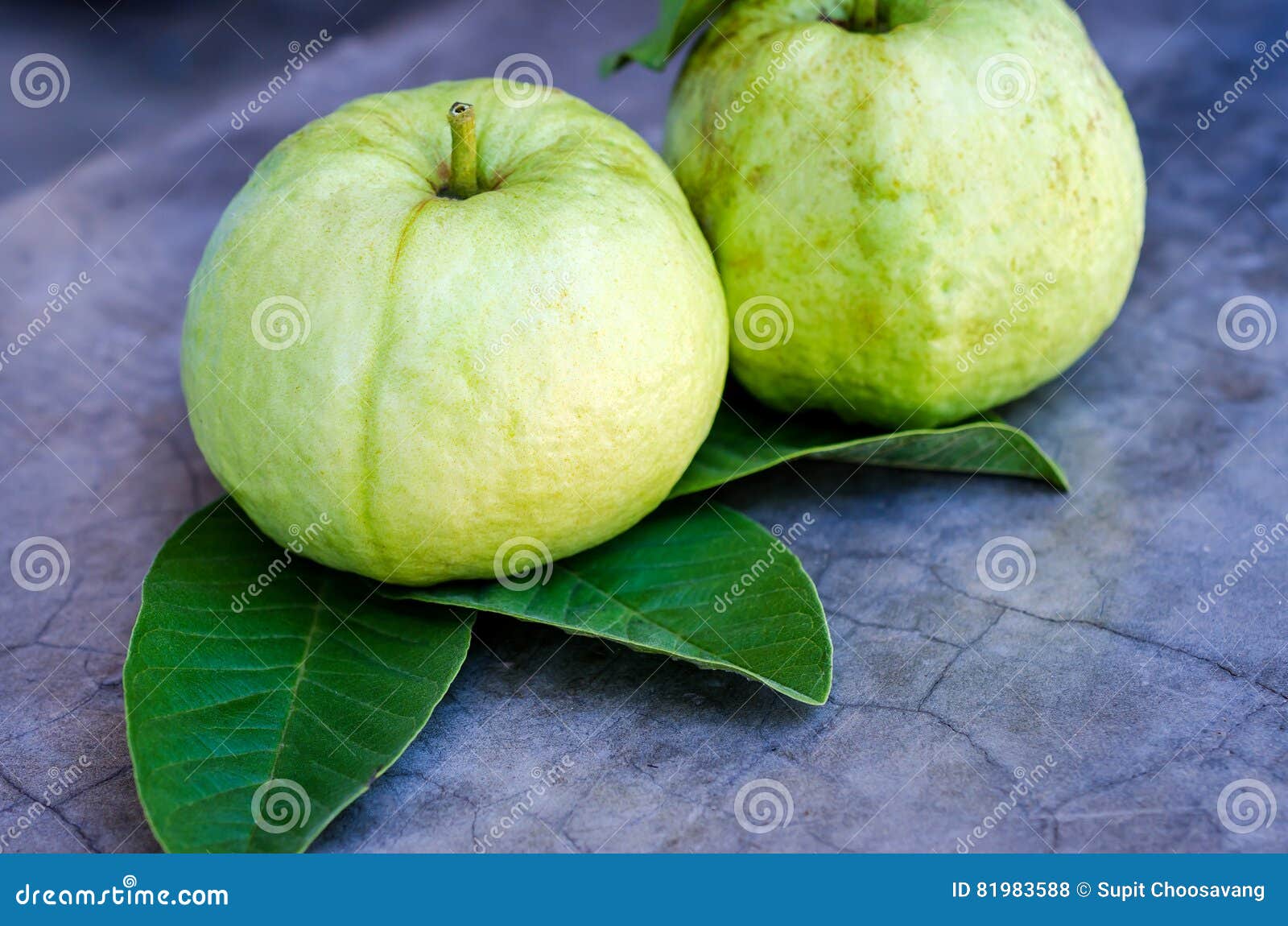 Big Guava on Leaves Place on Cement Stock Photo - Image of ripe, exotic ...