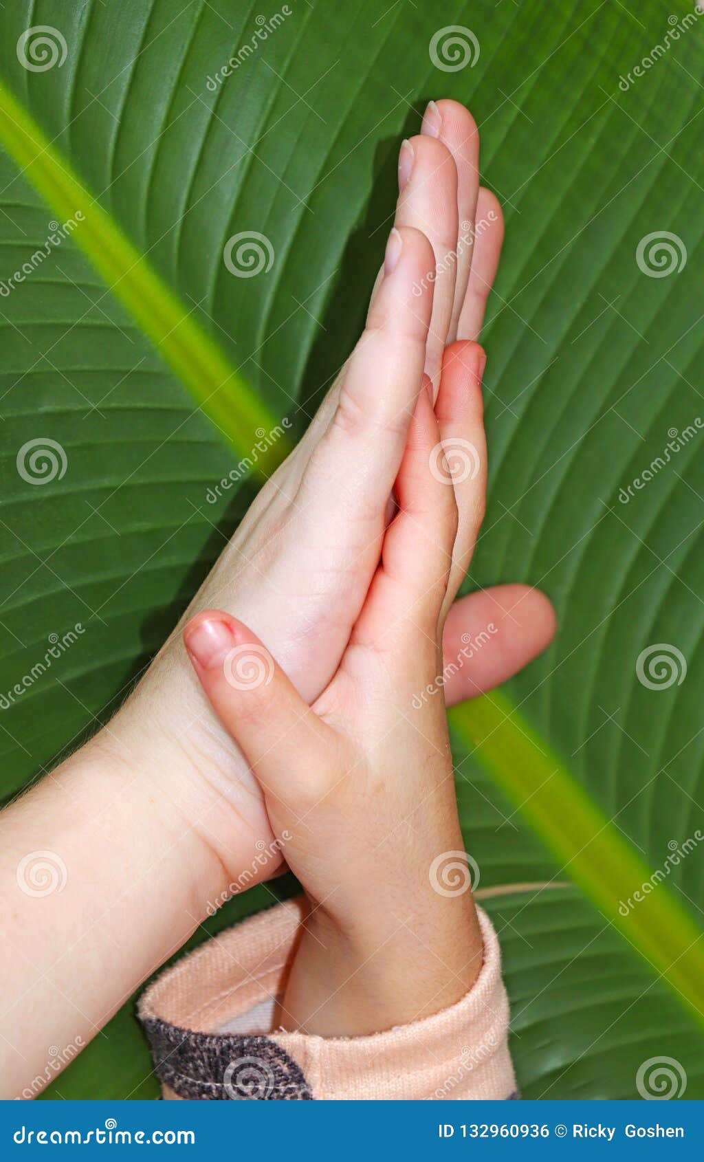 A Big Hand And A Small Hand Stock Photo | CartoonDealer.com #132960936