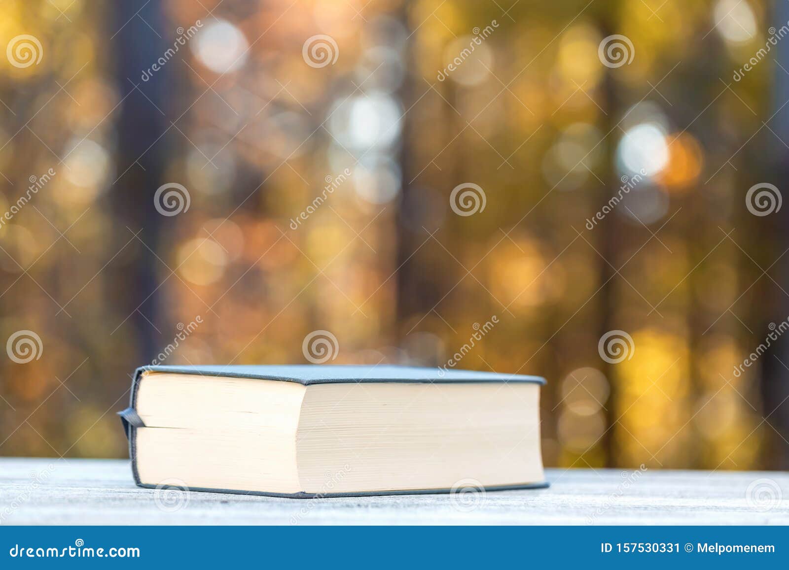 Big Hardcover Book on a Forest Background Stock Image - Image of ...