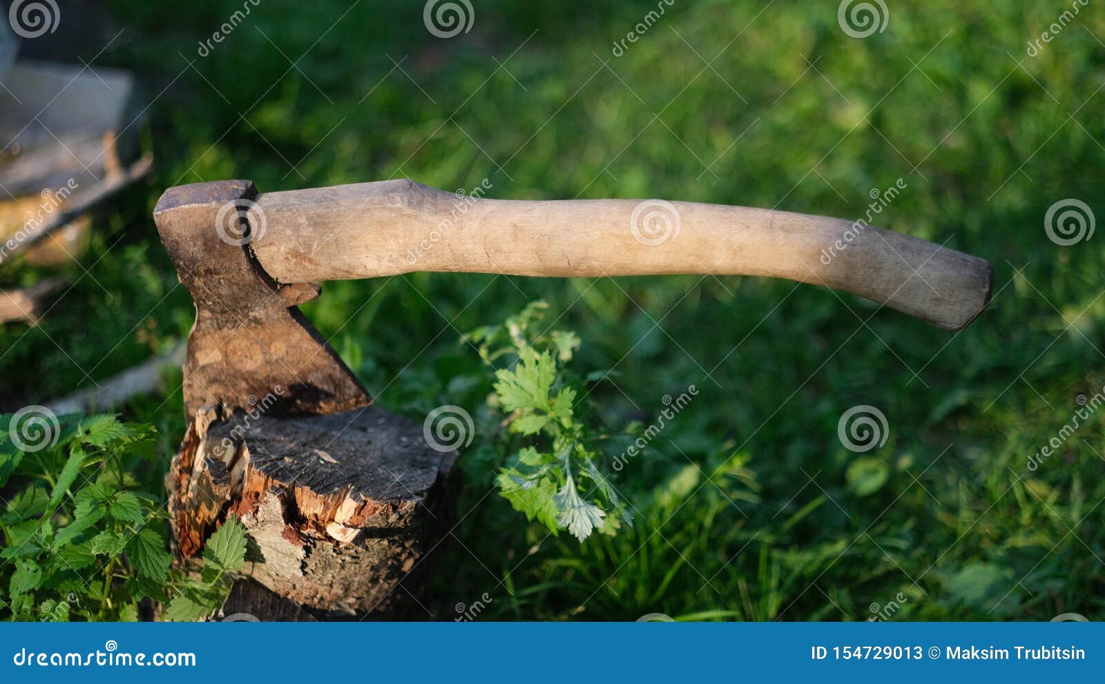 Hatchet in the Stump at the Country Stock Image - Image of steel ...
