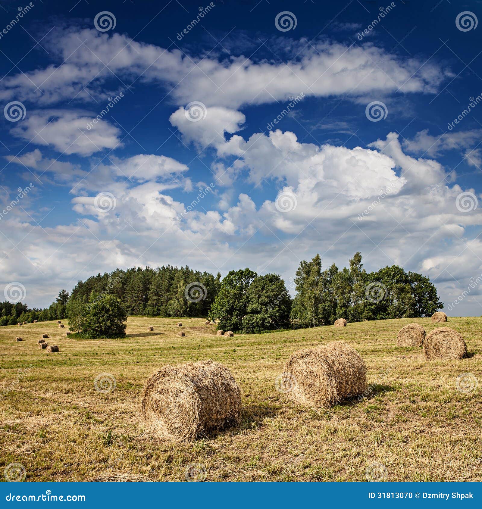 Big Hay Rolls on a Beautiful Field Stock Photo - Image of summer, round ...