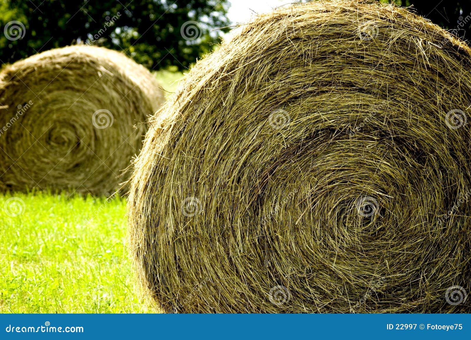 Big Haybail stock image. Image of meadow, rural, agriculture - 22997