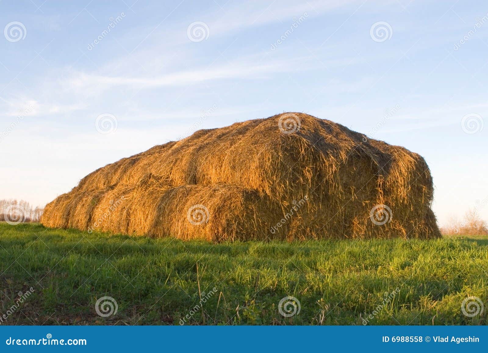 Big haystack stock photo. Image of heap, nature, reap - 6988558