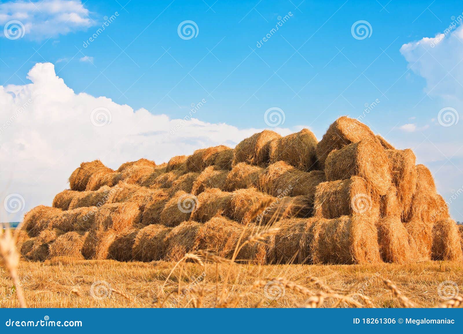 Big haystack at field stock photo. Image of agriculture - 18261306