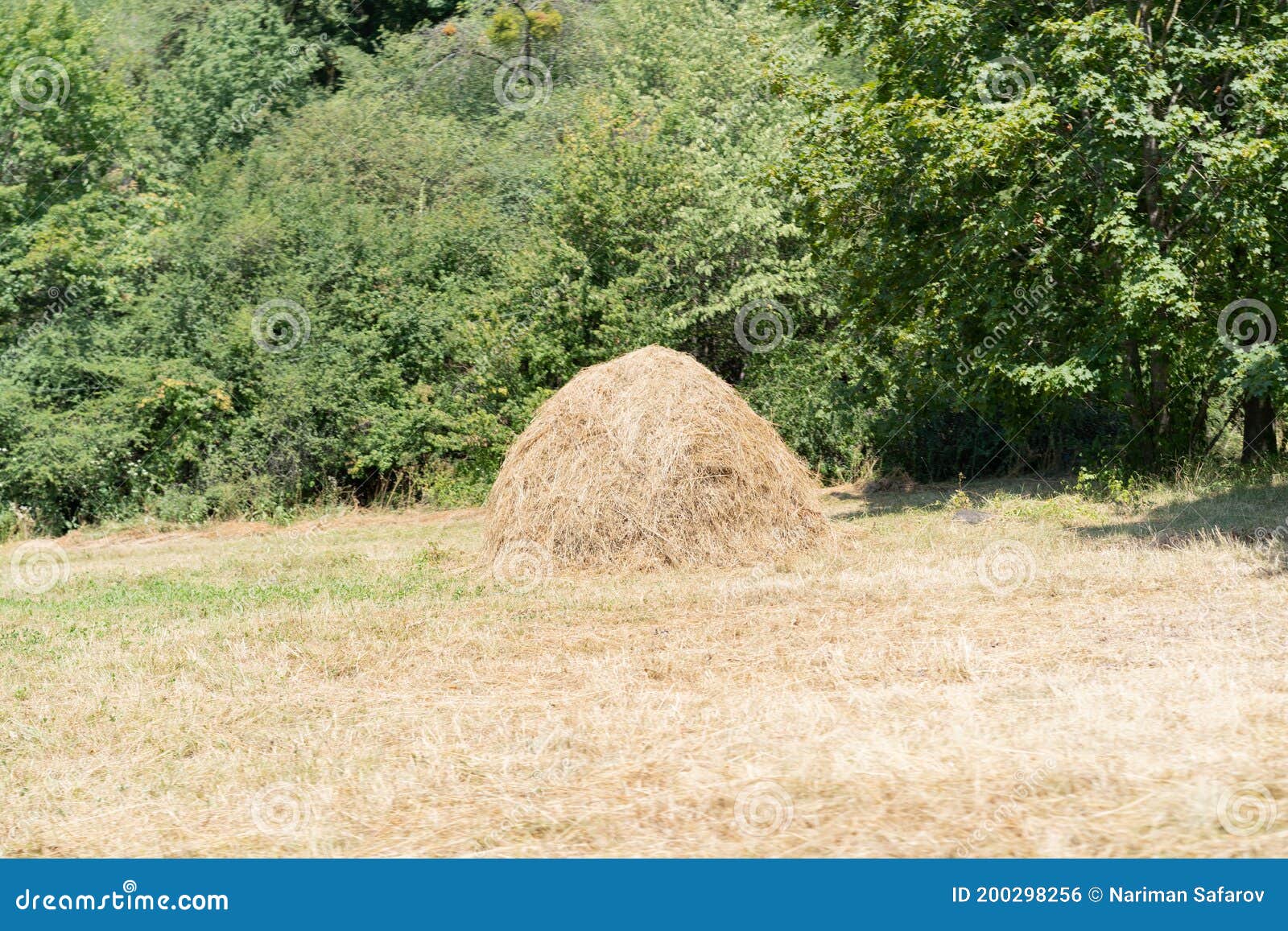 Big Haystack, in the Hayfield Stock Photo - Image of countryside, gold ...