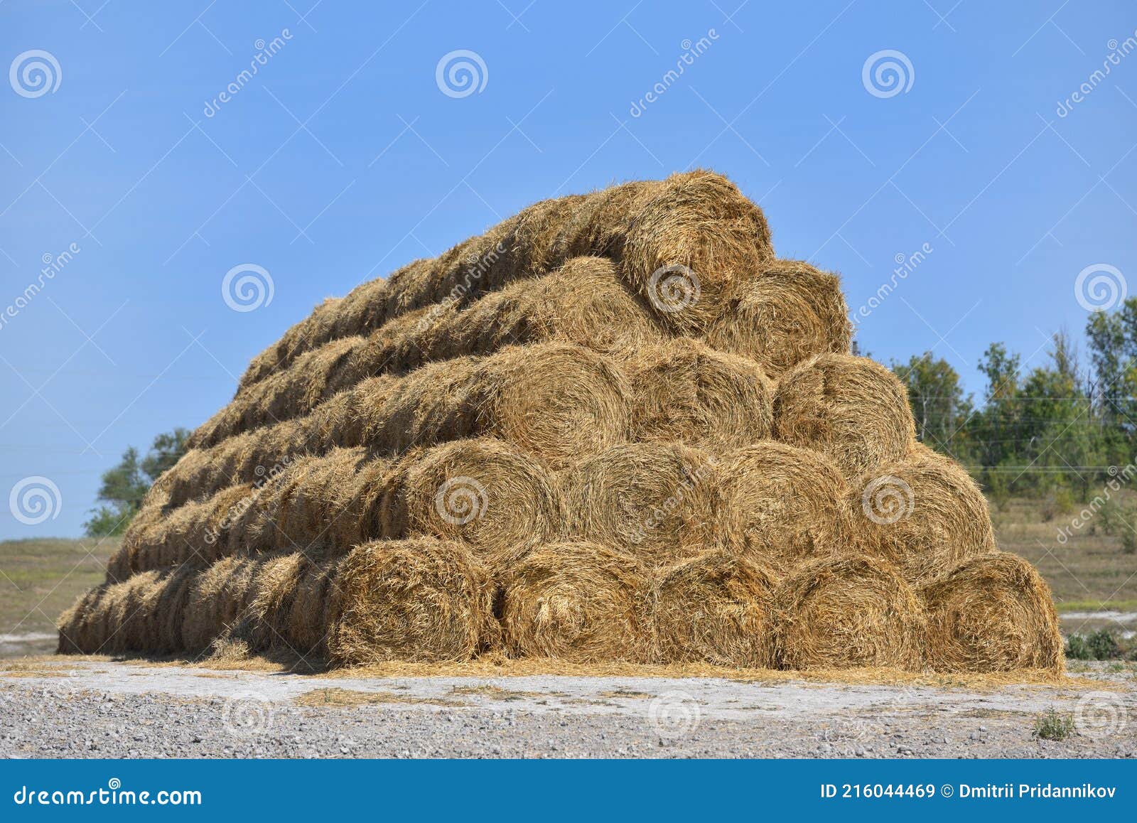 Big Haystack from Round Bales Laid in the Form of a Pyramid Against the ...