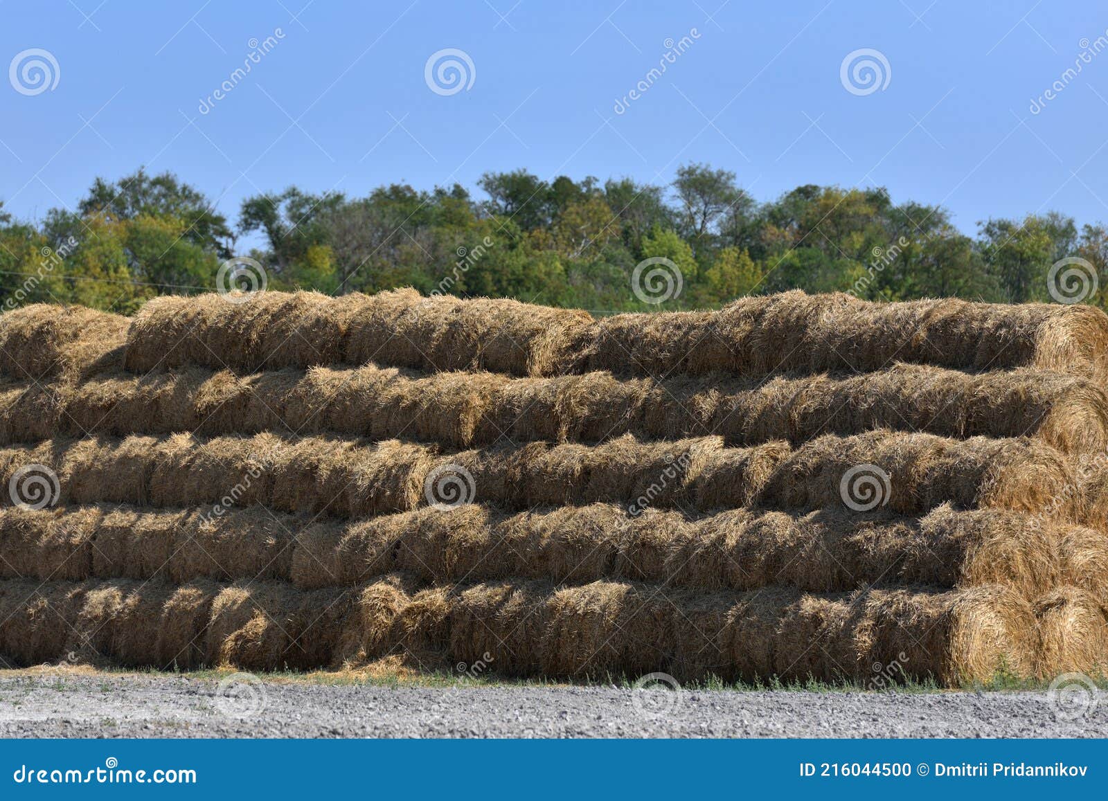 Big Haystack from Round Bales Laid in the Form of a Pyramid Against the ...