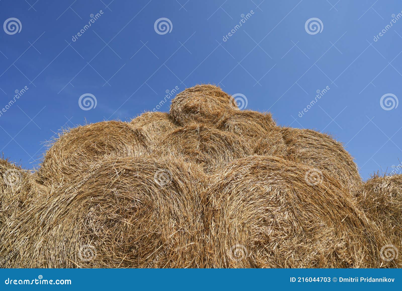 Big Haystack from Round Bales Laid in the Form of a Pyramid Against the ...