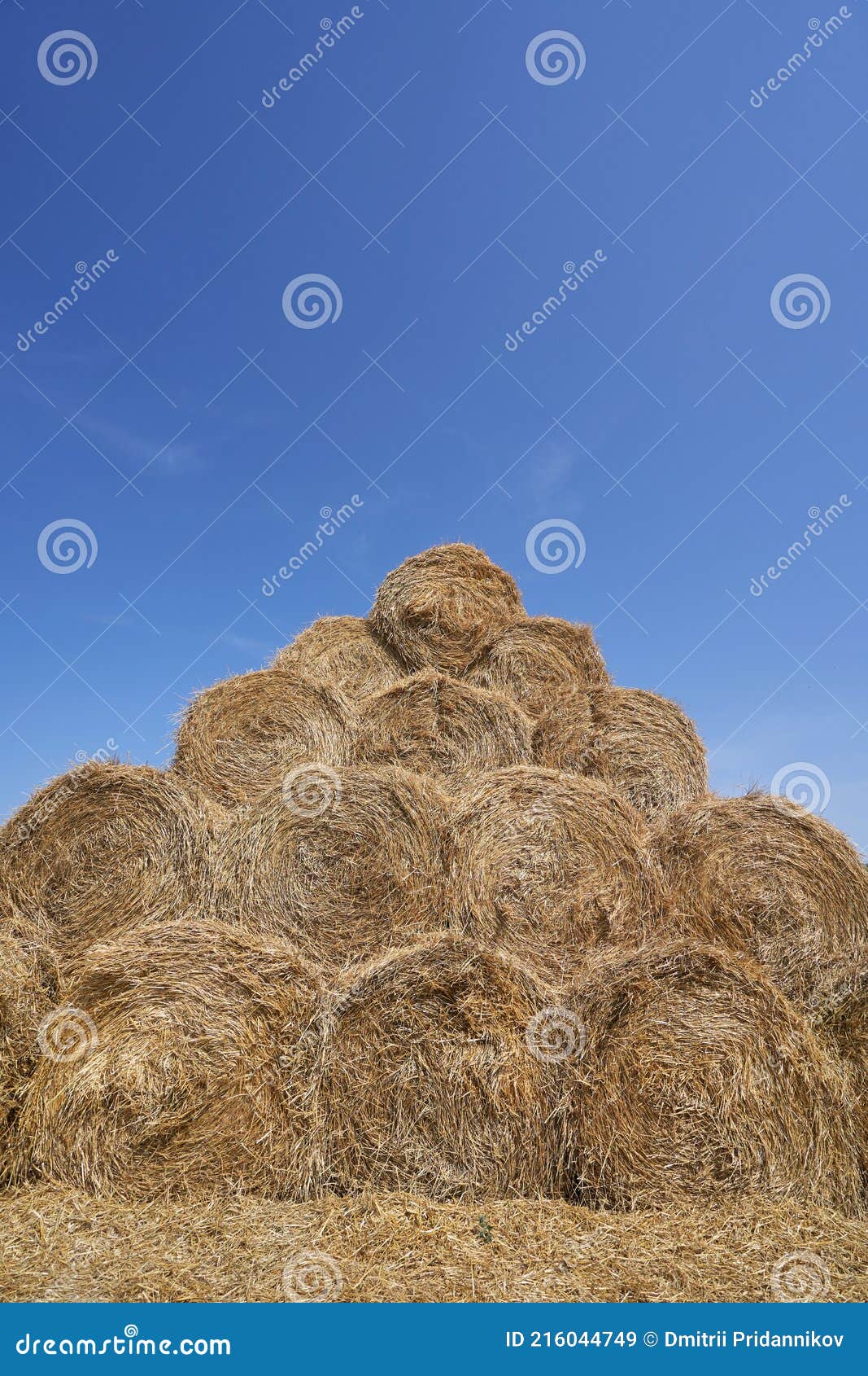 Big Haystack from Round Bales Laid in the Form of a Pyramid Against the ...