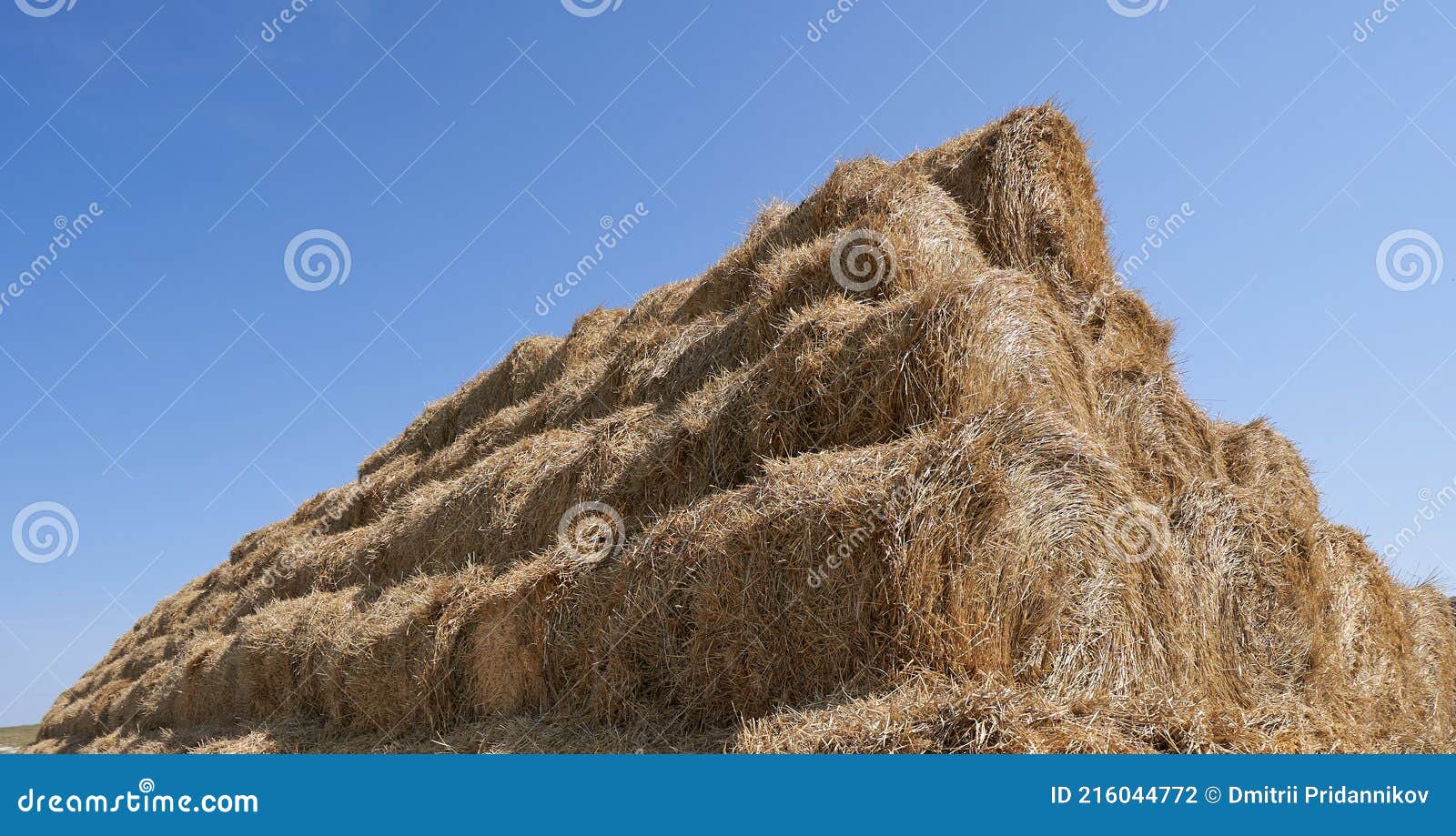 Big Haystack from Round Bales Laid in the Form of a Pyramid Against the ...
