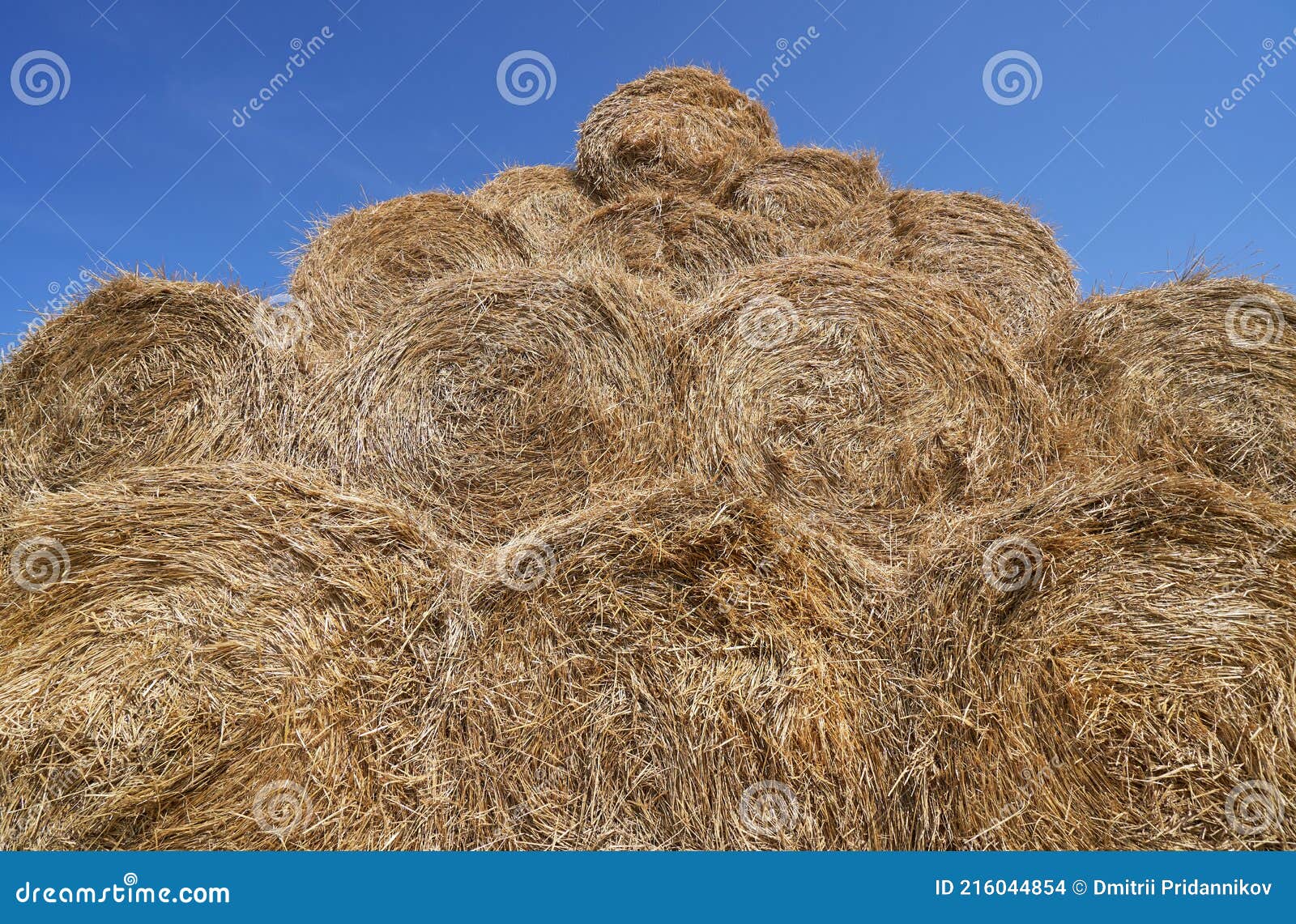 Big Haystack from Round Bales Laid in the Form of a Pyramid Against the ...