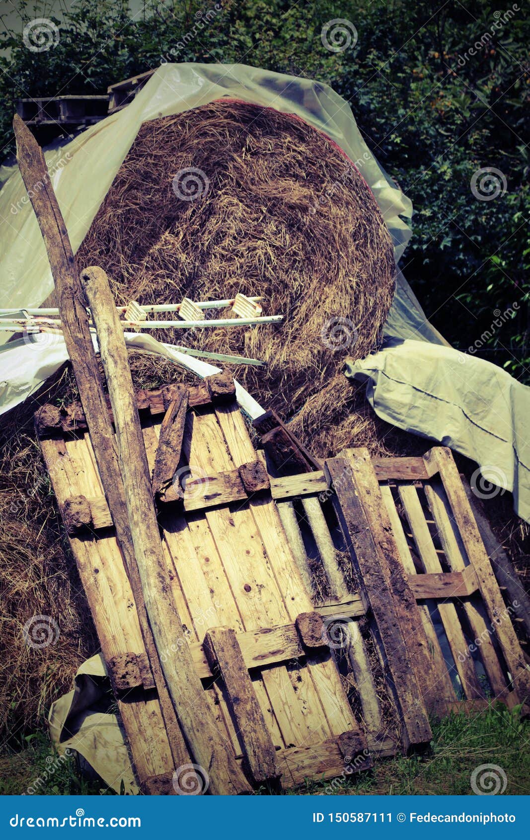 Big Haystack with Wooden Pallets in the Farm Stock Image - Image of ...