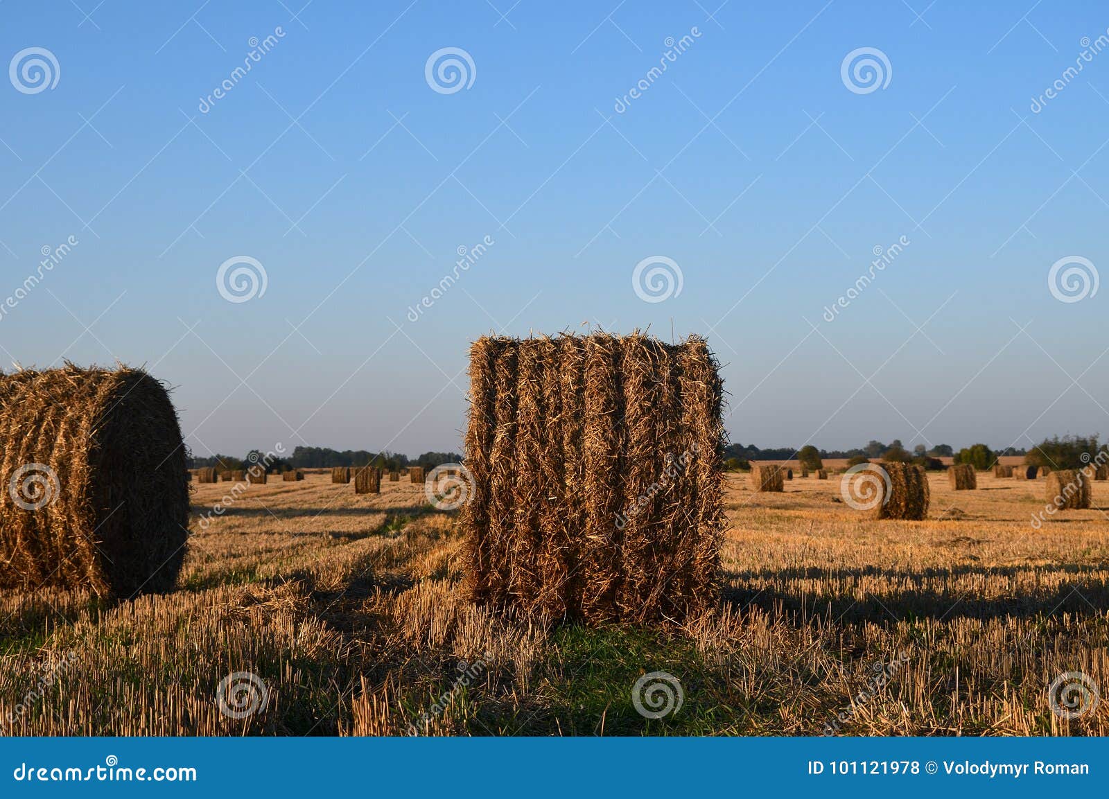 Field with big haystacks stock photo. Image of dramatic - 101121978