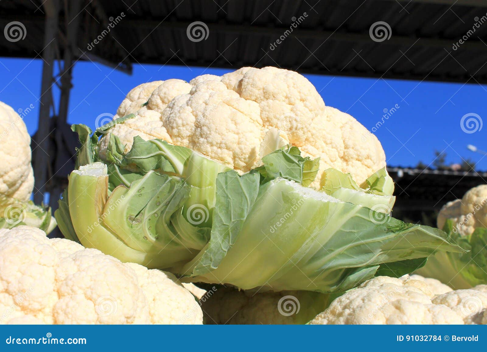 Big head of cauliflower stock photo. Image of cauliflower - 91032784