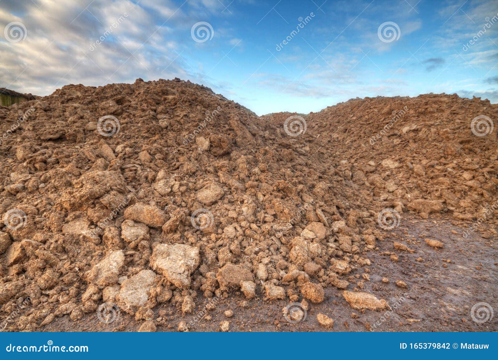 Poultry manure stock photo. Image of chicken, dung, open - 165379842