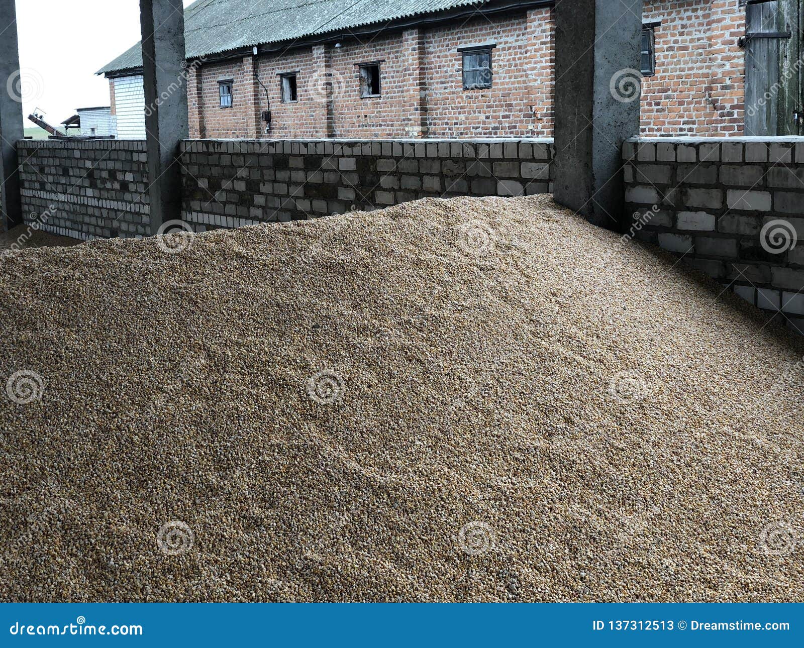 Big Heaps of Grain, Good Harvest Stock Image - Image of space, nature ...