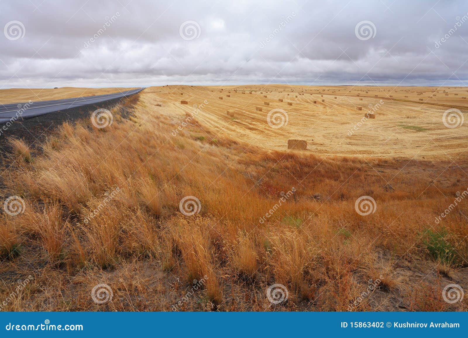 Big Highway among Fields after Harvesting Stock Photo - Image of ...