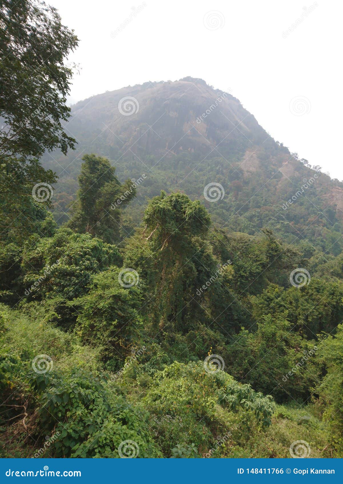 Big hills with nature stock photo. Image of cute, nature - 148411766