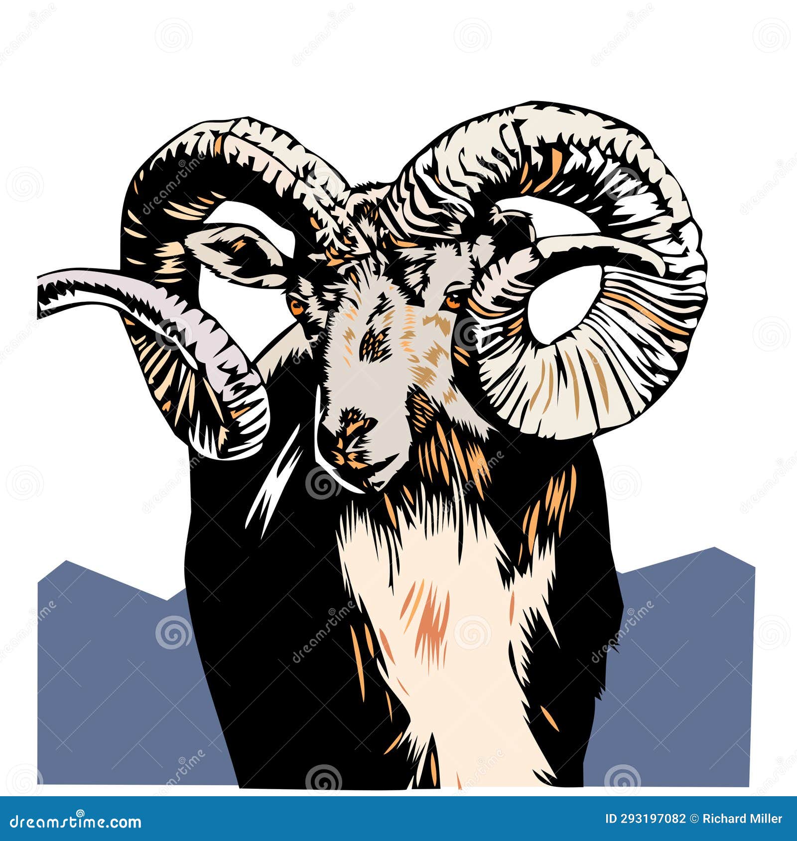 Big Horn Sheep Illustration Vector Stock Vector - Illustration of ...