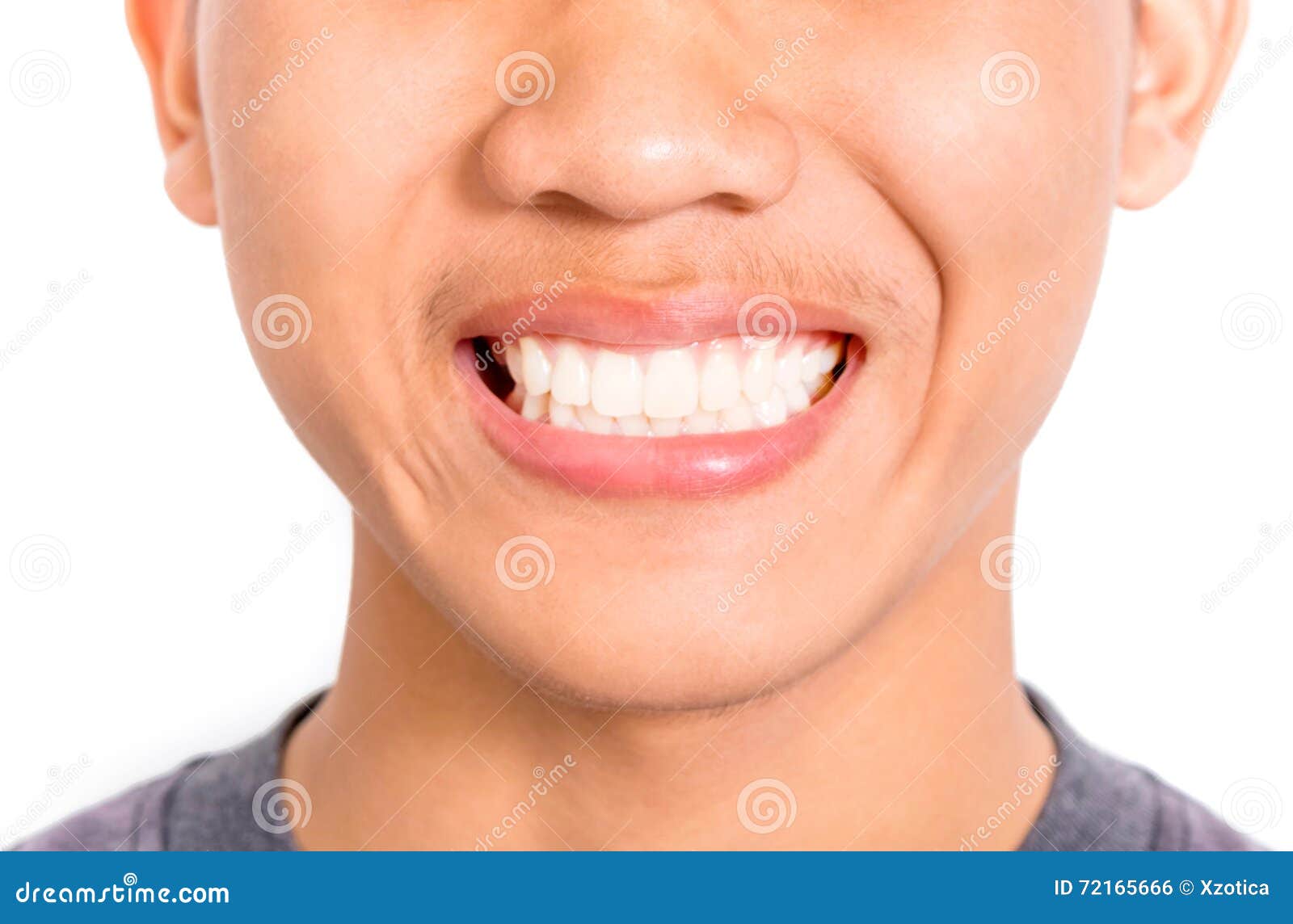 Big Nice teeth stock photo. Image of incisors, care, teeth - 72165666