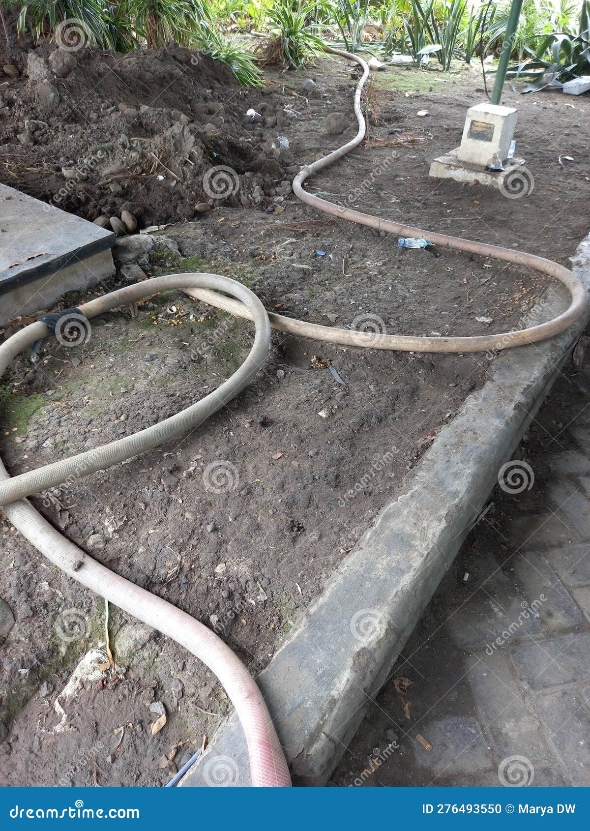 Big hose like a snake stock photo. Image of snake, asphalt - 276493550