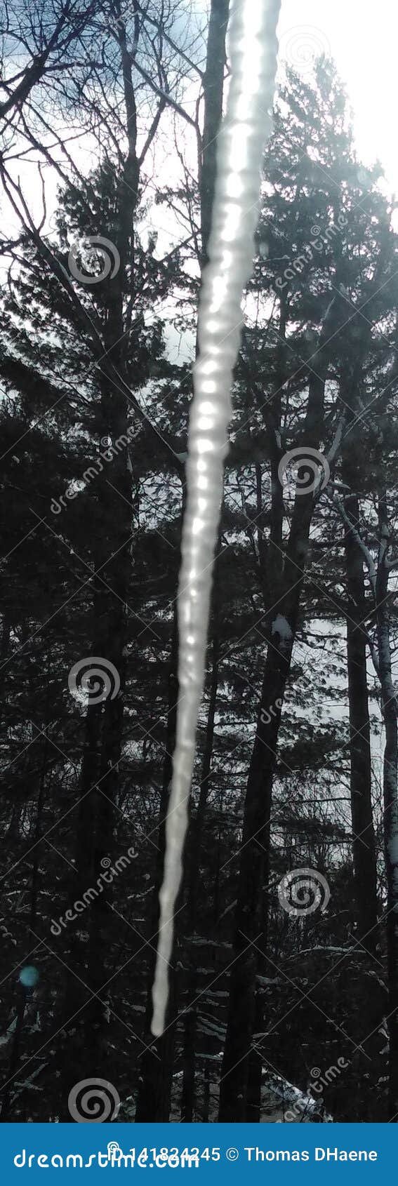 Big icicle stock image. Image of winter, icicle, cold - 141824245