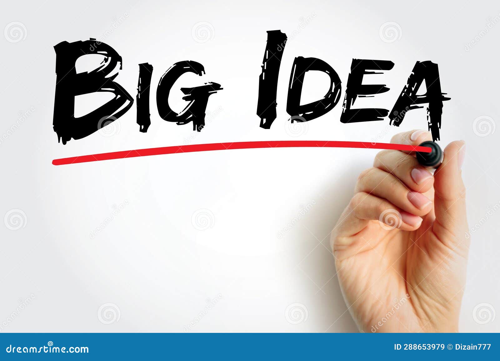 Big Idea - Core Concepts, Principles and Processes that Should Serve As ...