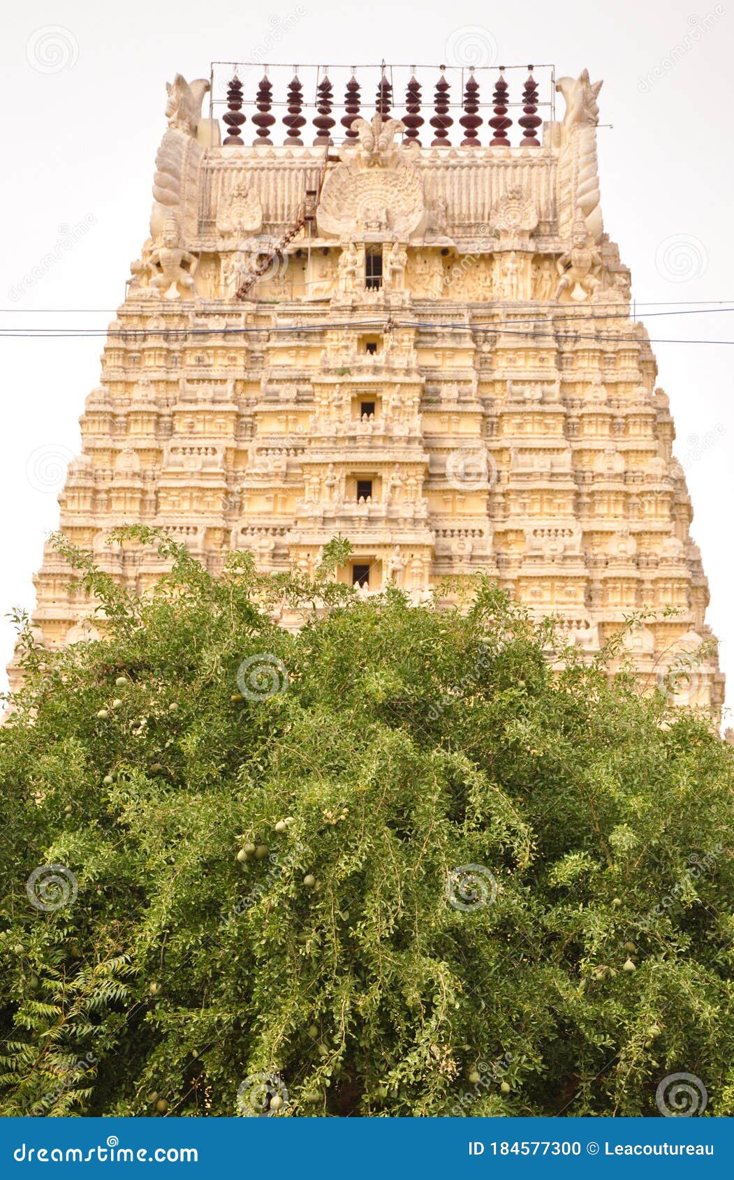 Big Indian Temple with Trees Stock Photo - Image of holidays, close ...