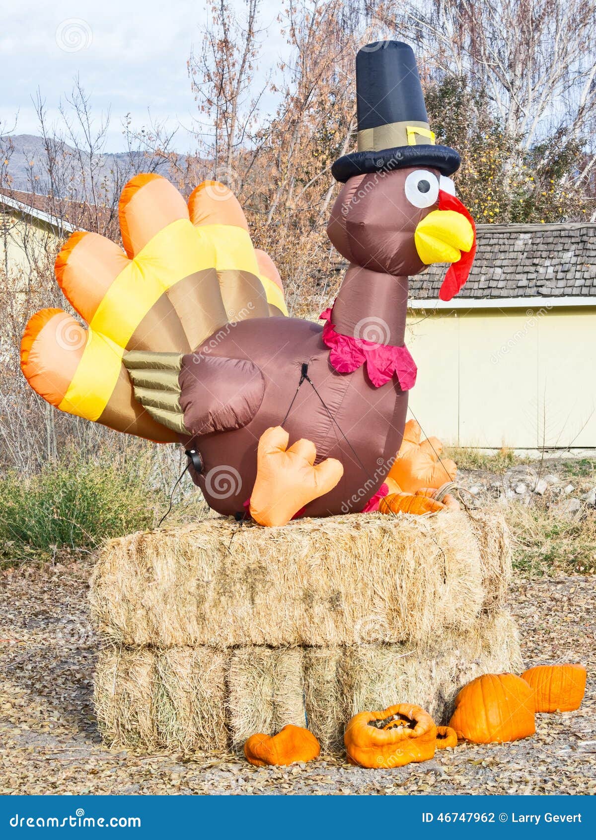 Big inflatable turkey stock photo. Image of fauna, funny - 46747962