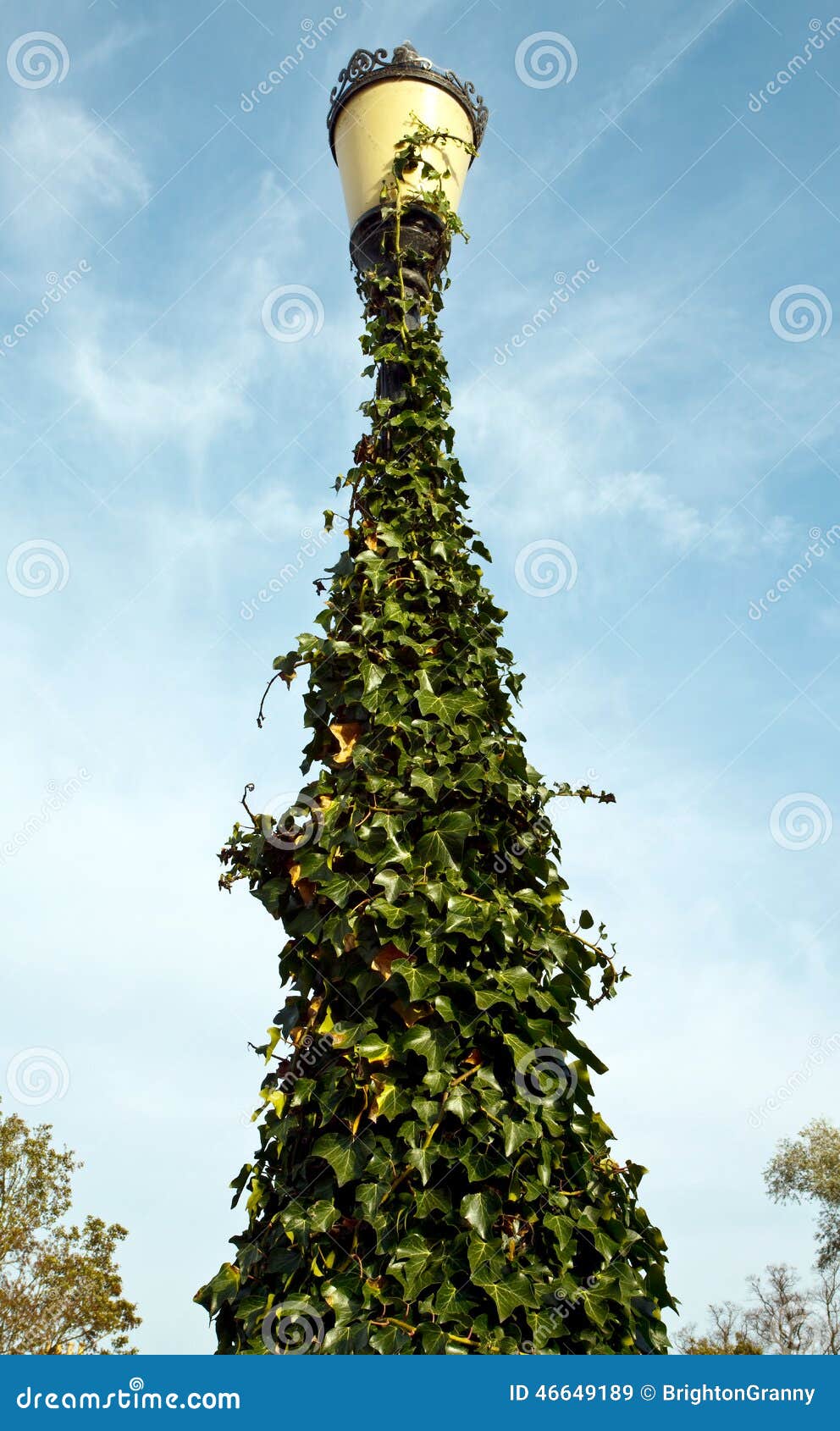 A Tall Ivy Covered Lamppost. Stock Image - Image of daylight, street ...