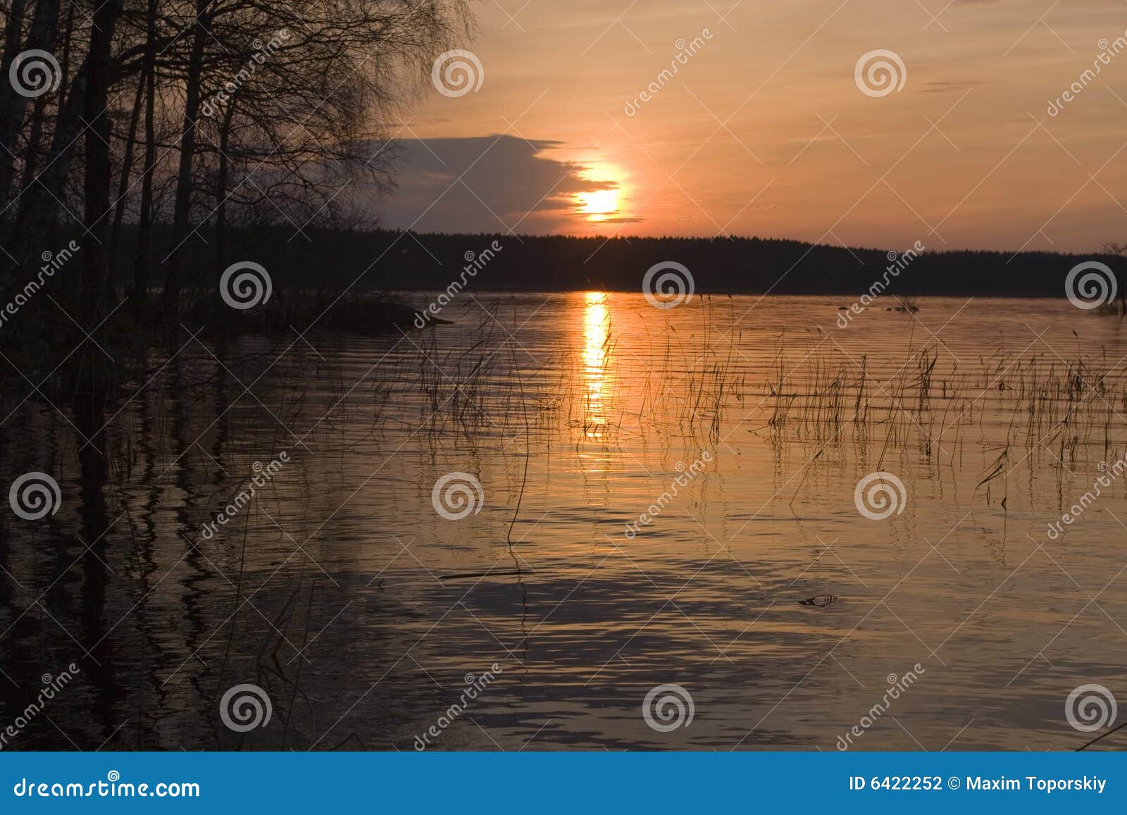 Big Lake with Islands and Reed on Beautiful Sunset Stock Photo - Image ...