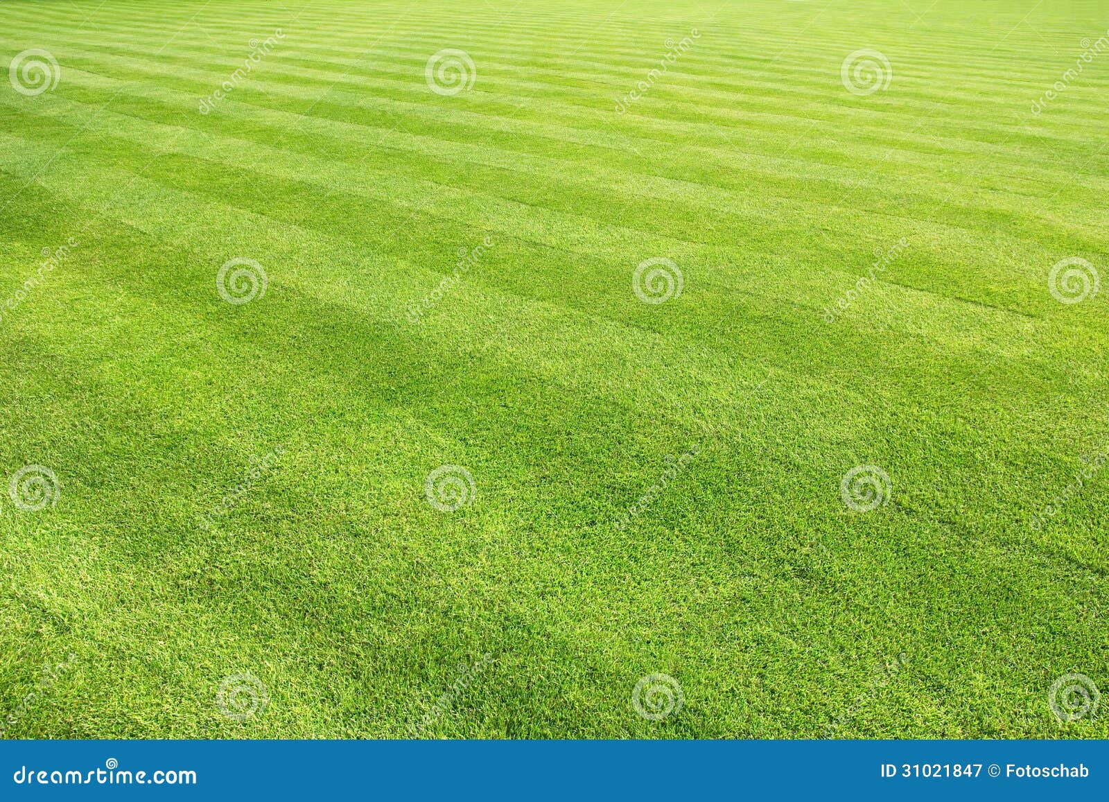 Rollered Stock Photos - Free & Royalty-Free Stock Photos from Dreamstime