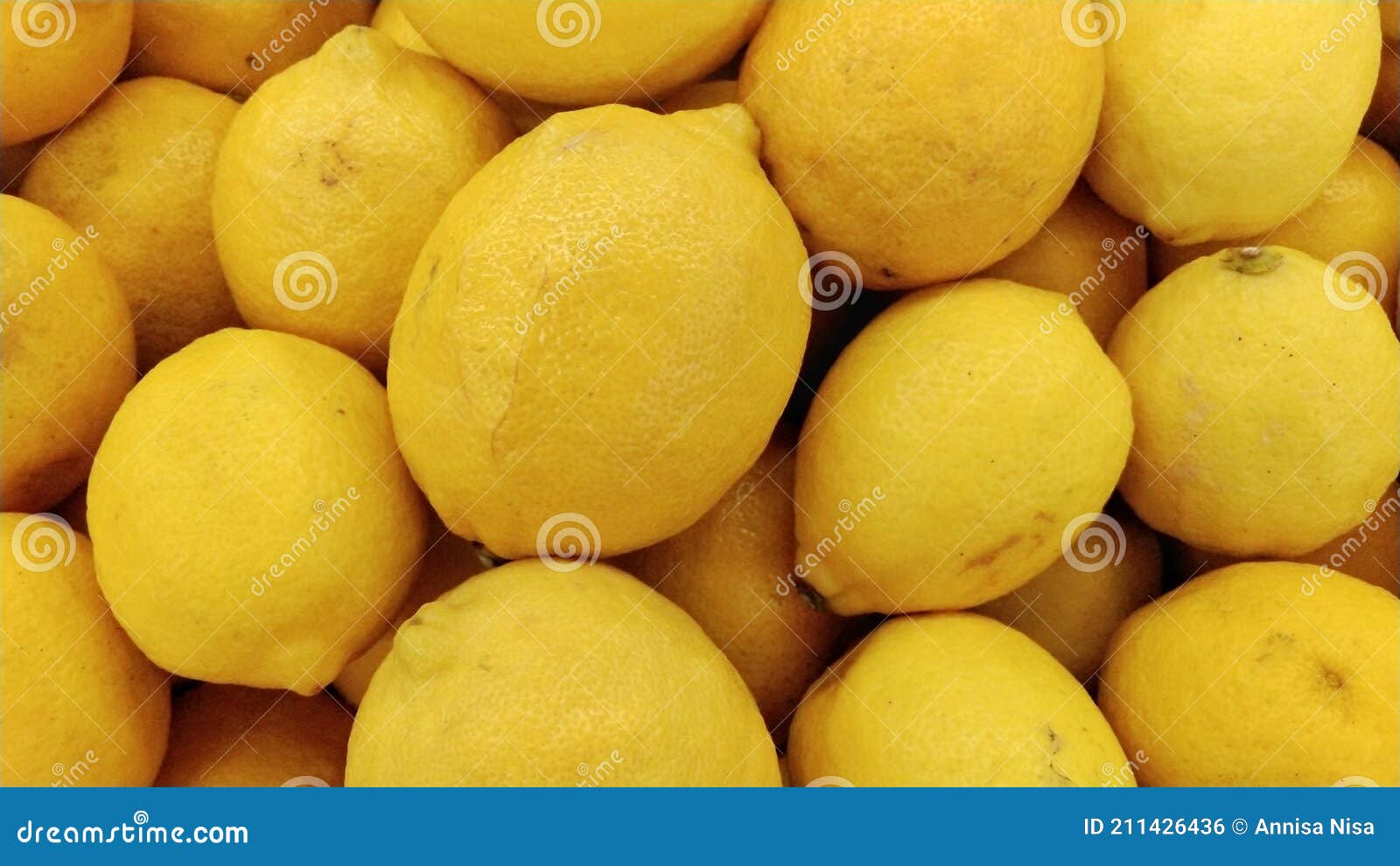 Big lemon in here stock photo. Image of citrus, pick - 211426436