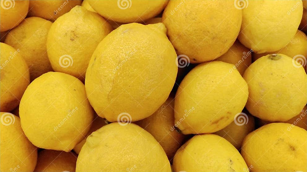 Big lemon in here stock photo. Image of citrus, pick - 211426436