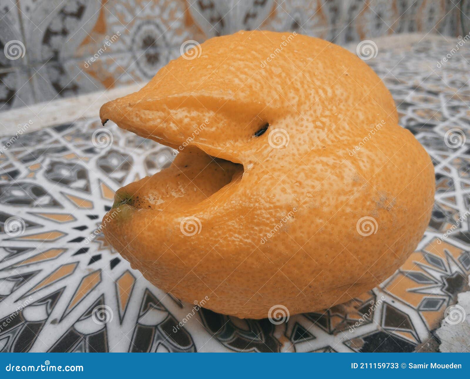 Big Lemon smiling stock image. Image of lemon, miracle - 211159733
