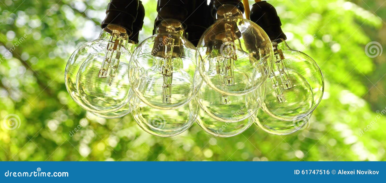 Big Light Bulb Bundle Hanging in a Garden Stock Photo - Image of ...