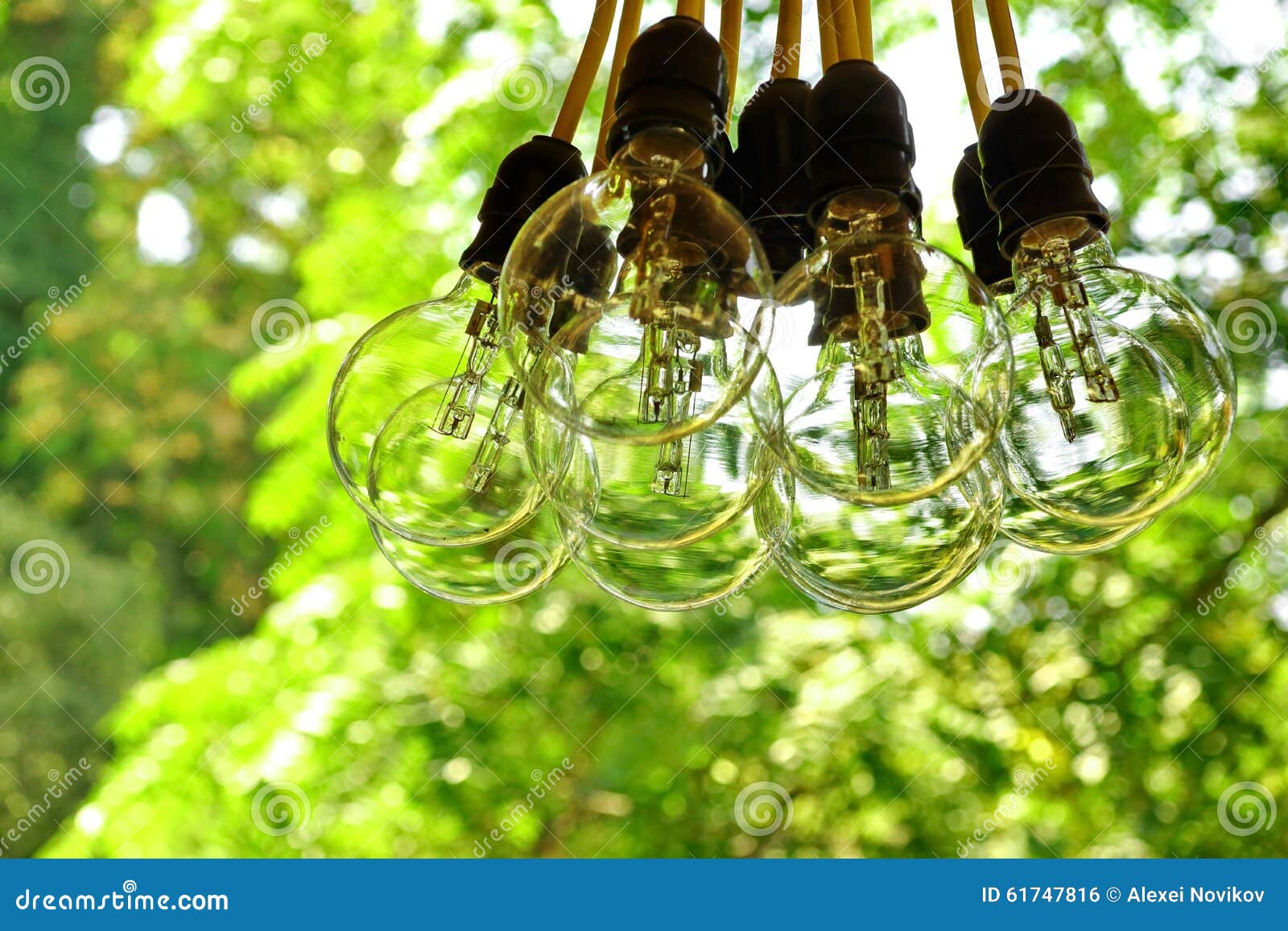 Big Light Bulb Bundle Hanging in a Garden Stock Photo - Image of ...