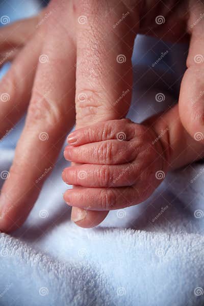 Big and Little Hands stock image. Image of fingers, precious - 13979625