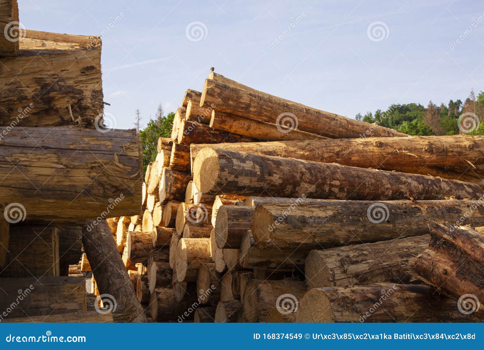 Big logs stock image. Image of energy, firewood, pine - 168374549