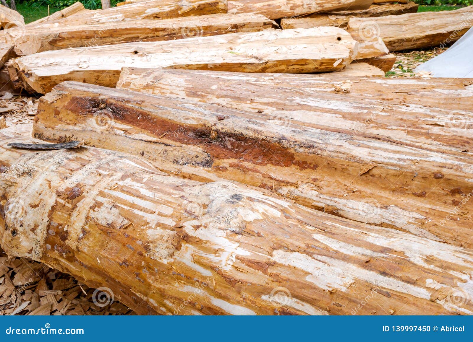 Big logs on the ground stock photo. Image of shipwright - 139997450