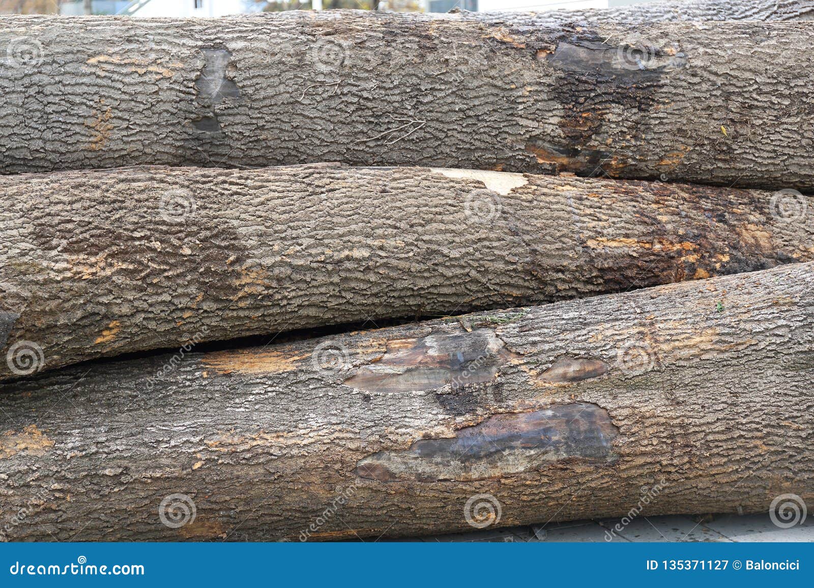Big Logs stock image. Image of logs, timber, material - 135371127