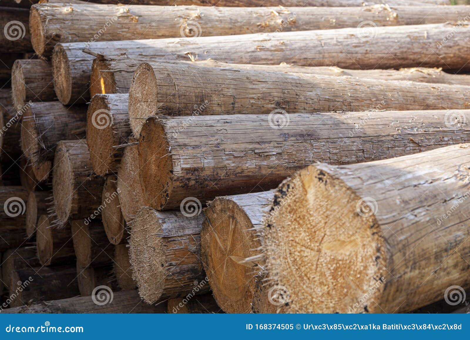 Big logs stock image. Image of renewable, ecology, nature - 168374505