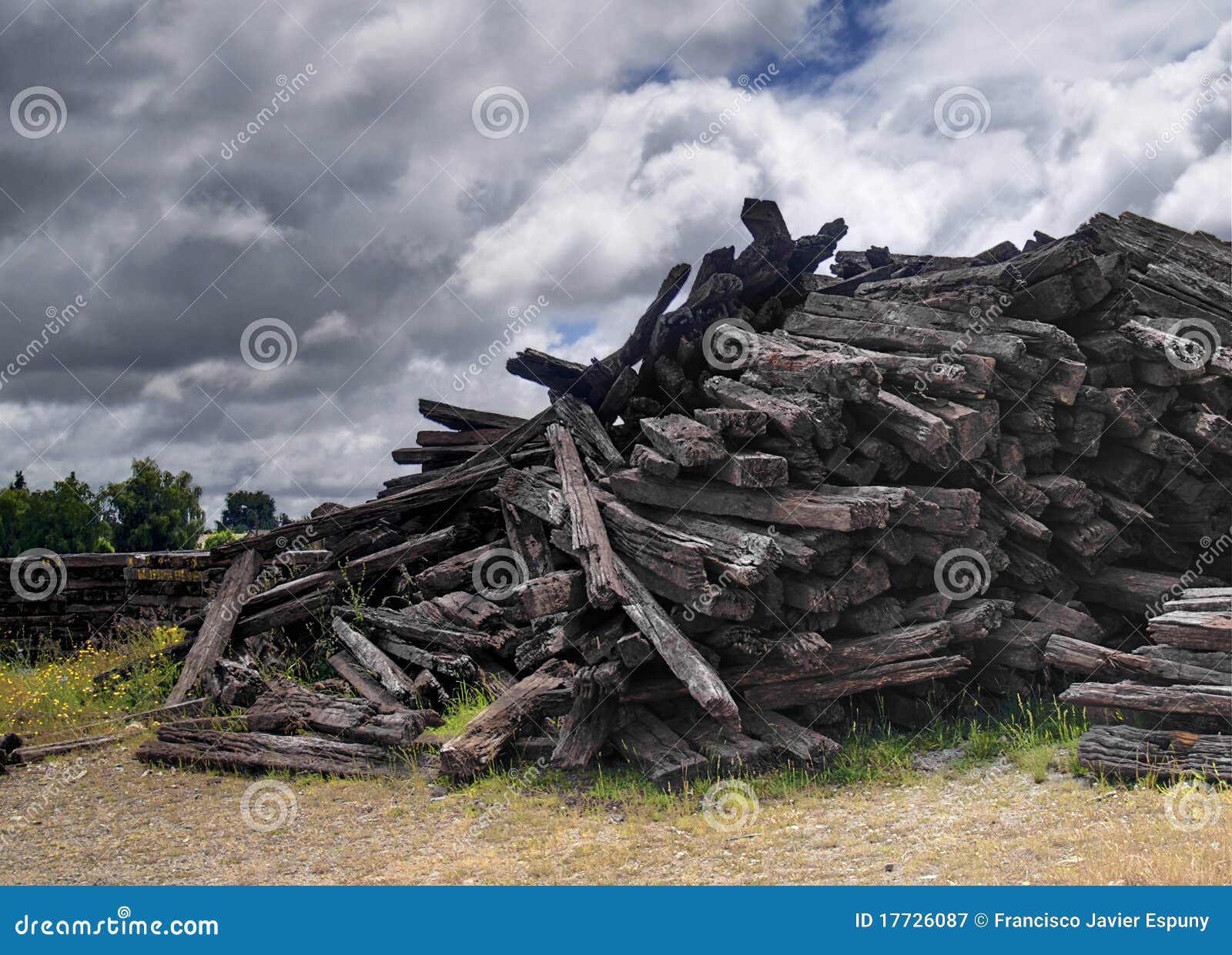 Big Lot of Lumber in the Country Stock Image - Image of landscape ...