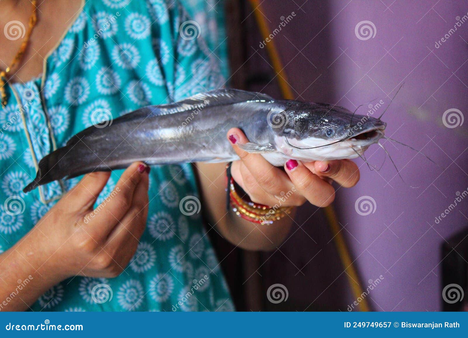 Big Magur Catfish in Hand of a Lady Fish Farmer Stock Image - Image of ...