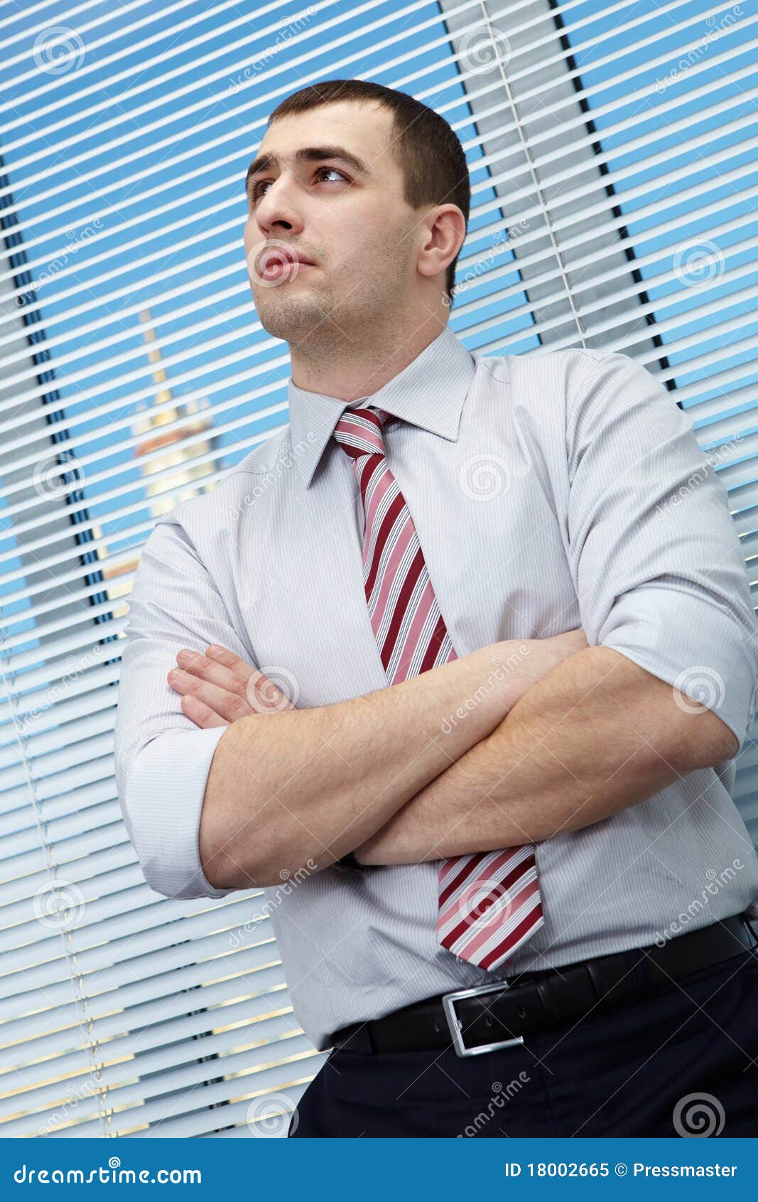 Big man stock image. Image of dressed, crossed, businessman - 18002665