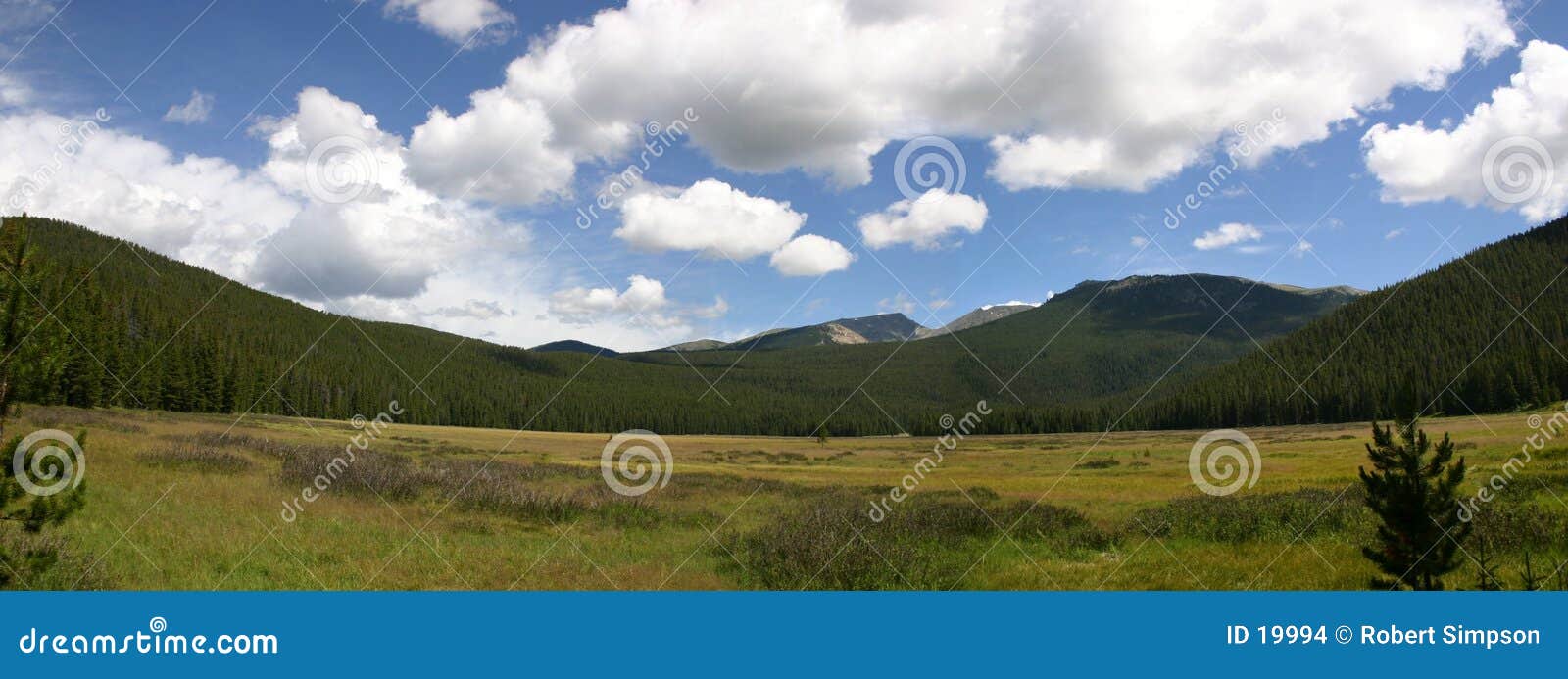Big Meadow stock photo. Image of rocky, mountain, blue, space - 19994