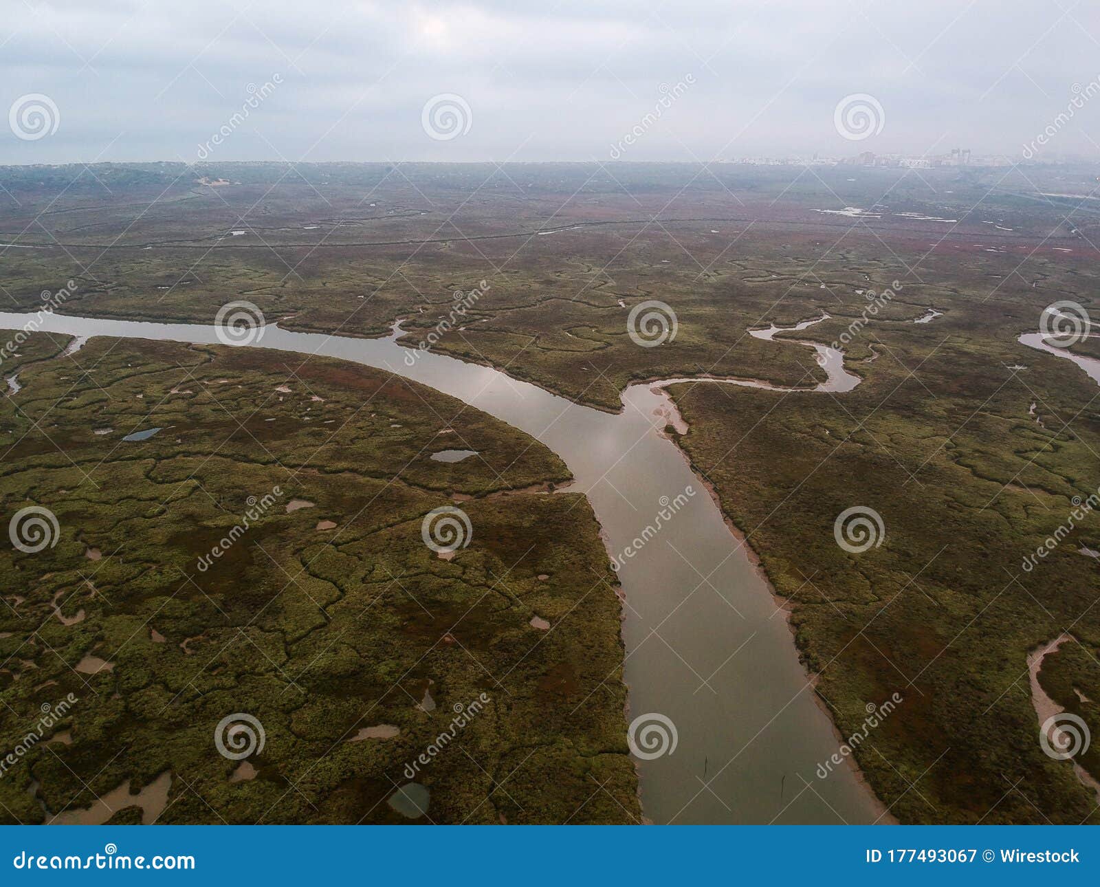 A big meander stock image. Image of nature, estuary - 177493067