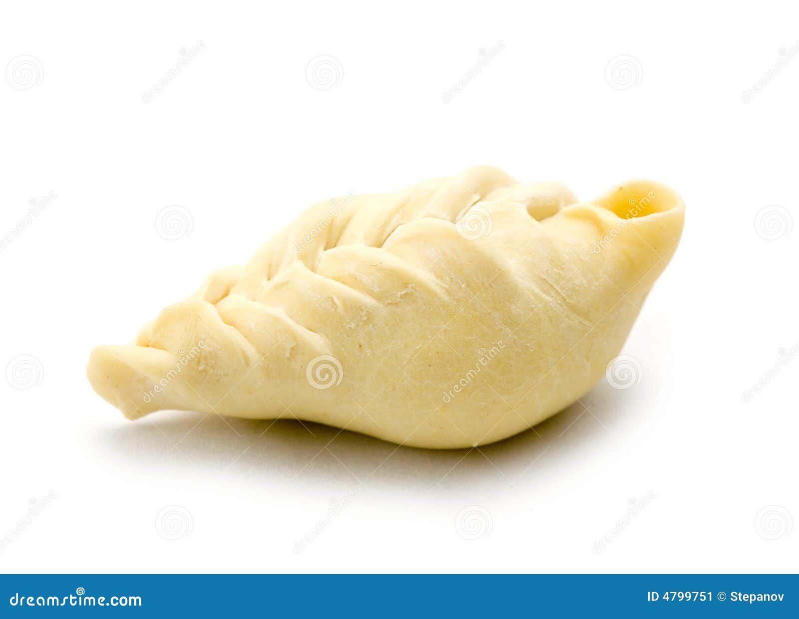 Big meat dumplings stock image. Image of traditional, healthy - 4799751