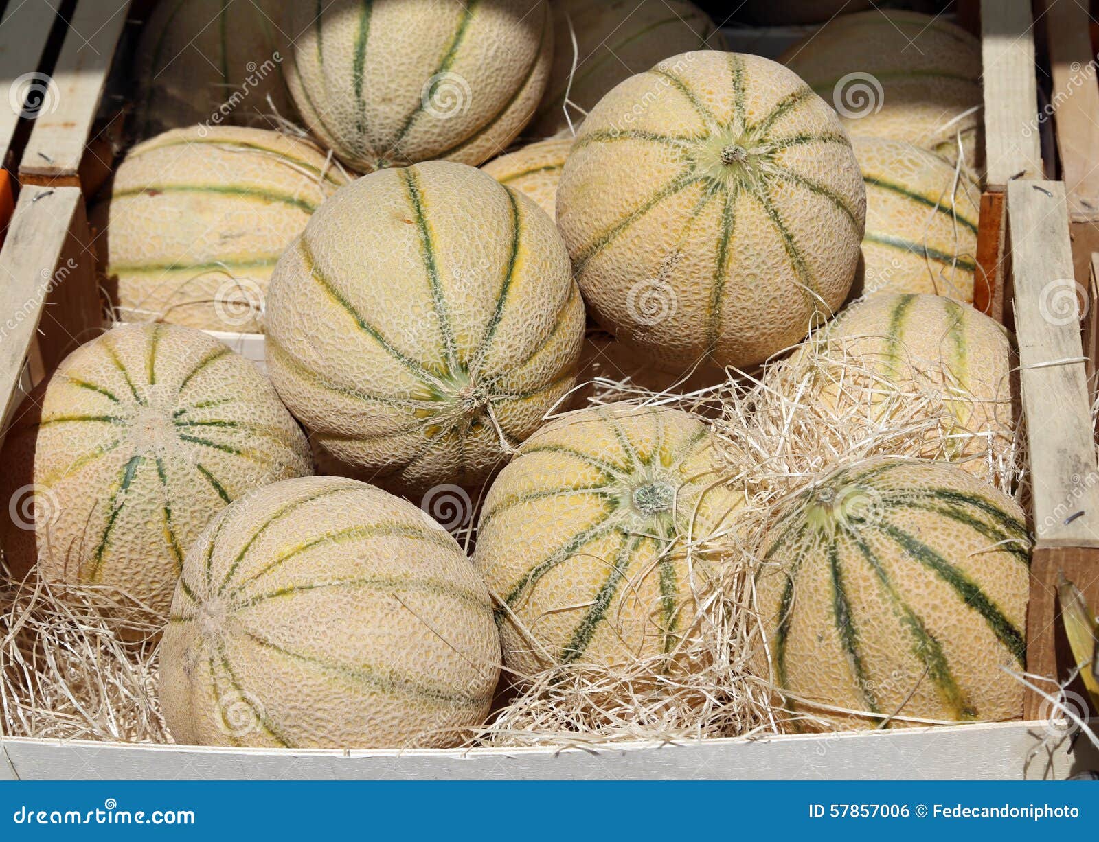 Big Melons in the Fruit and Vegetable Market Stock Photo - Image of ...